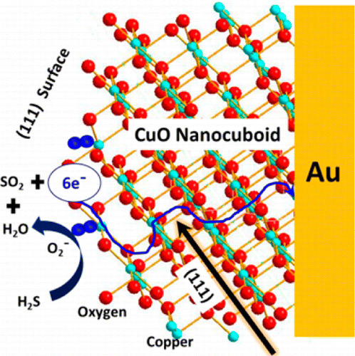 基于高效p型CuO（111）纳米立方H 2 S气体传感器的电子传输机理的新见解,The Journal of Physical ...