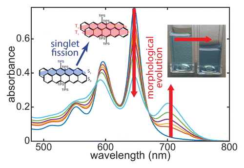 Morphological Evolution and Singlet Fission in Aqueous Suspensions of ...