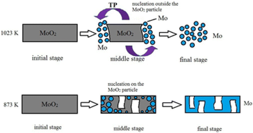 Study on Hydrogen Reduction of Ultrafine MoO2 To Produce Ultrafine Mo ...