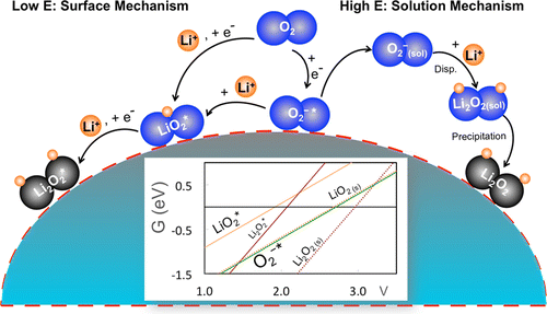 Potential-Dependent Generation of O2– and LiO2 and Their Critical Roles ...