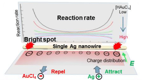 Multifunctions of Net Surface Charge in the Reaction on a Single ...