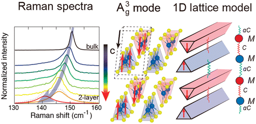 Phonon Properties of Few-Layer Crystals of Quasi-One-Dimensional ZrS3 ...