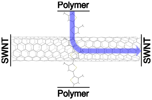 Theoretical Insight into the Internal Quantum Efficiencies of Polymer ...