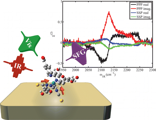 Direct Measurement of the Absolute Orientation of N3 Dye at Gold and ...