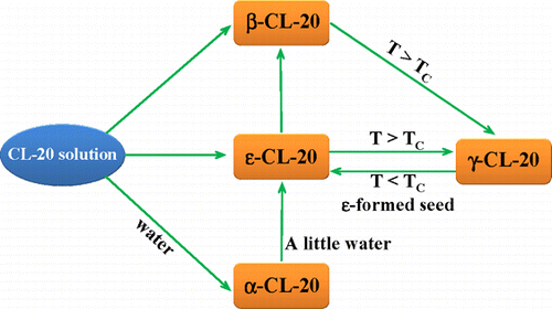 Comparative Study of Experiments and Calculations on the Polymorphisms ...