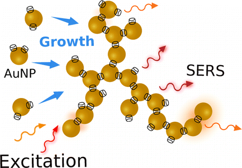 Optimizing SERS from Gold Nanoparticle Clusters: Addressing the Near ...