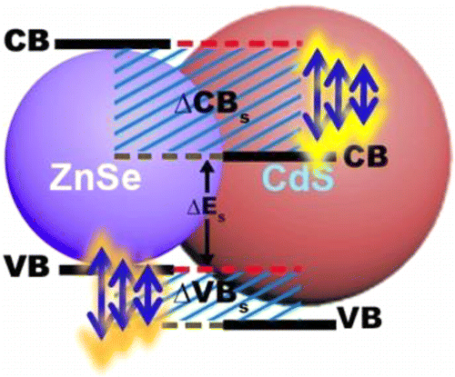 局域化光激发电荷载流子在ZnSe–CdS异质结构界面处的能带偏移的化学剪裁,The Journal of Physical Chemistry ...