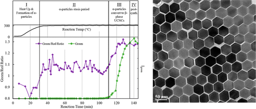 The Dynamics of Nanoparticle Growth and Phase Change During Synthesis ...