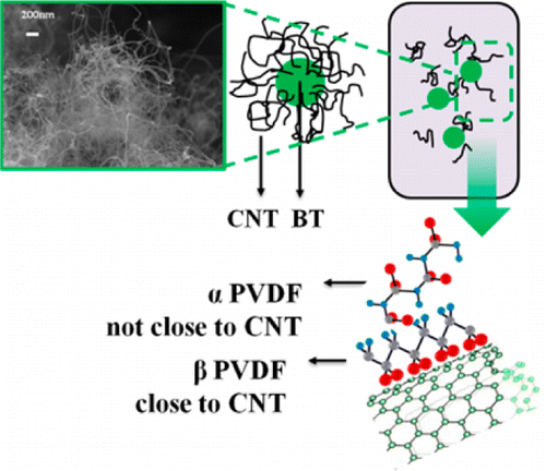 Conductive Network and β Polymorph Content Evolution Caused by Thermal ...