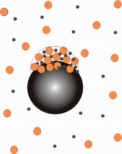 Heterogeneous Nucleation onto Ions and Neutralized Ions: Insights into ...