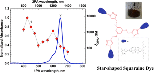 Linear Photophysics and Femtosecond Nonlinear Spectroscopy of a Star ...