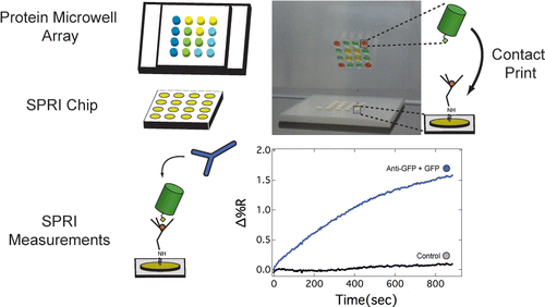 A Microwell–Printing Fabrication Strategy for the On-Chip Templated ...