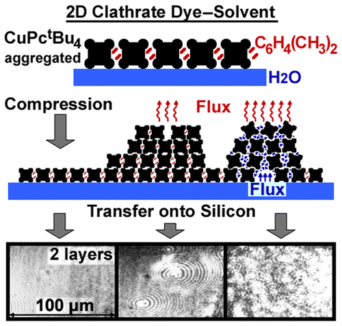 Solvent-Assisted Interfacial Assembly of Copper Tetra-(tert-Butyl ...