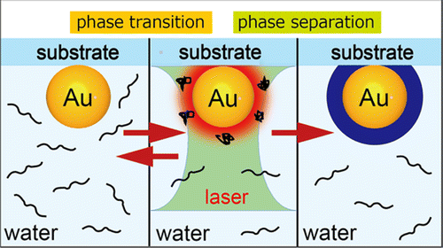 Plasmonic-Heating-Induced Nanoscale Phase Separation of Free Poly(N ...