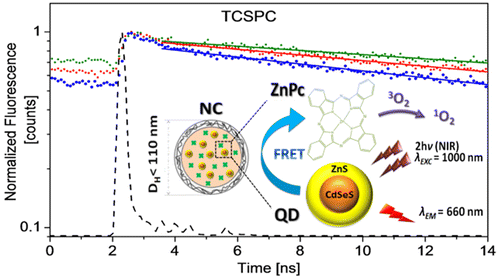 含CdSe x S 1– x / ZnS核/壳量子点和酞菁锌（II）的聚合物纳米胶囊中的双光子诱导的荧光能量转移。,The Journal ...