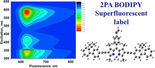 New Two-Photon Absorbing BODIPY-Based Fluorescent Probe: Linear ...
