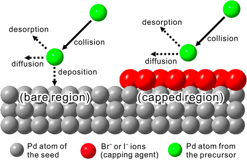 Seed-Mediated Synthesis of Pd Nanocrystals: The Effect of Surface ...