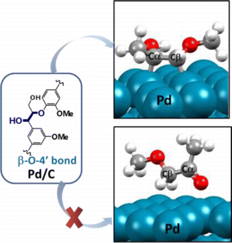 Detecting Important Intermediates in Pd Catalyzed Depolymerization of a ...
