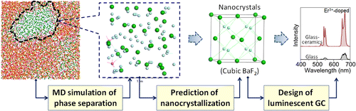 From Phase Separation to Nanocrystallization in Fluorosilicate Glasses ...
