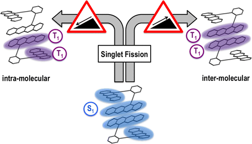 Intra- and Intermolecular Singlet Fission in Covalently Linked Dimers ...