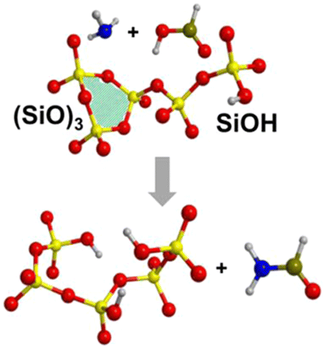 Amide and Peptide Bond Formation: Interplay between Strained Ring ...