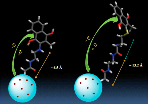 Distance-Dependent Electron Transfer in Chemically Engineered Carbon ...