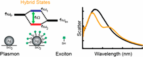 Plasmon–Exciton Coupling between Metallic Nanoparticles and Dye ...