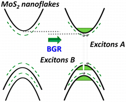 The Role of Excitons and Free Charges in the Excited-State Dynamics of ...