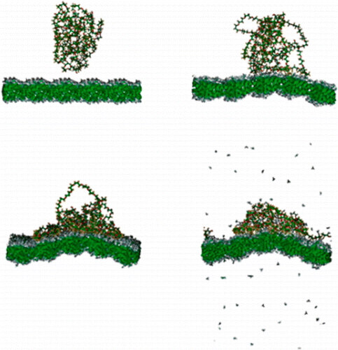 A Reactive Force Field Study on the Interaction of Lubricant with ...