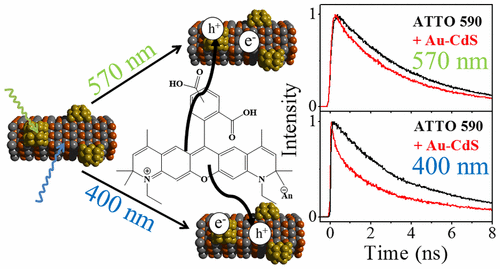 Using ATTO Dyes To Probe the Photocatalytic Activity of Au–CdS ...