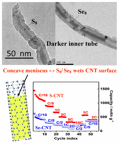 Pressure-Induced Capillary Encapsulation Protocol for Ultrahigh Loading ...