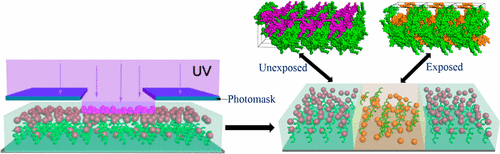 重氮萘醌光活性化合物对正性光敏聚酰亚胺的溶解抑制作用的计算探讨,The Journal of Physical Chemistry C - X-MOL