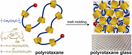 Effect of Topological Constraint and Confined Motions on the ...