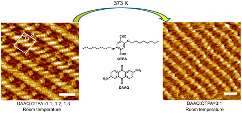 From a Two-Dimensional Supramolecular Network to One-Dimensional ...