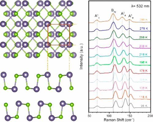 Temperature-Dependent Raman Responses of the Vapor-Deposited Tin ...