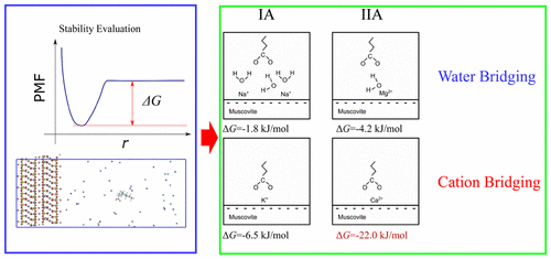 Stability Evaluation of Cation Bridging on Muscovite Surface for ...