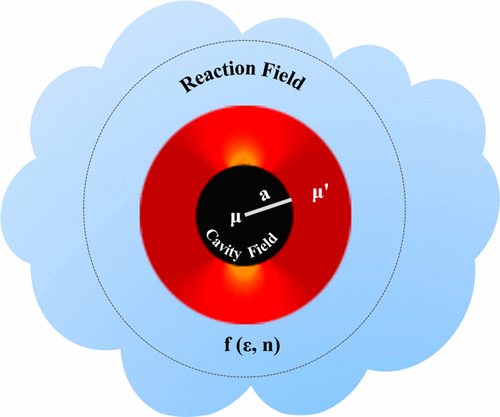 Ooshika–Mataga–Lippert方程中特定尺寸的ZnO量子点作为Onsager腔,The Journal of Physical ...