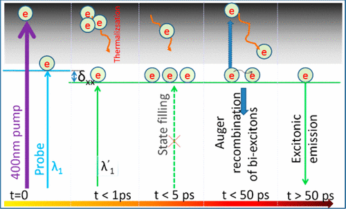 Ultrafast Exciton Dynamics in Colloidal CsPbBr3 Perovskite Nanocrystals: Biexciton Effect and ...