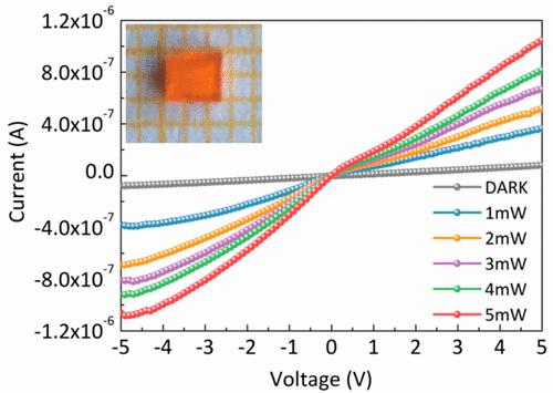 High Detectivity and Rapid Response in Perovskite CsPbBr3 Single-Crystal Photodetector,The ...