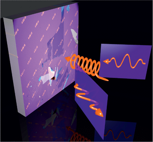 Valley-Polarized Exciton Dynamics in Exfoliated Monolayer WSe2,The ...