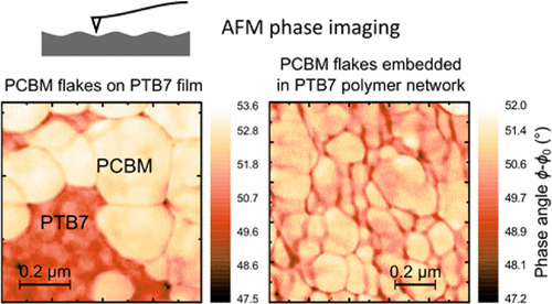 Determining Material-Specific Morphology of Bulk-Heterojunction Organic Solar Cells Using AFM ...