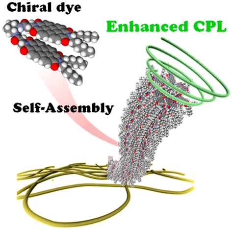 Circularly Polarized Luminescence in Chiral Molecules and Supramolecular Assemblies,The Journal ...