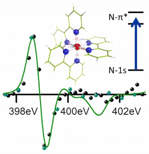 Time-Resolved X-ray Spectroscopy in the Water Window: Elucidating ...