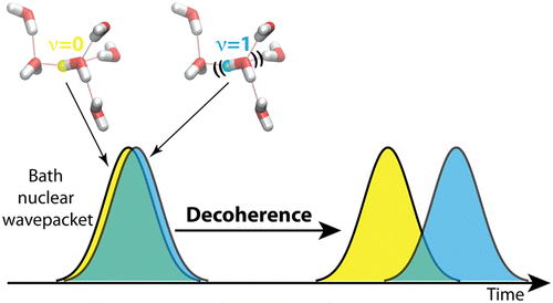 Vibrational Quantum Decoherence in Liquid Water,The Journal of Physical Chemistry Letters - X-MOL