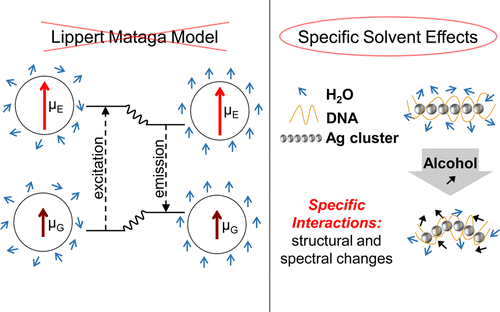 Heterogeneous Solvatochromism of Fluorescent DNA-Stabilized Silver ...