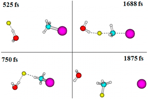 Microsolvated F–(H2O) + CH3I SN2 Reaction Dynamics. Insight into the ...