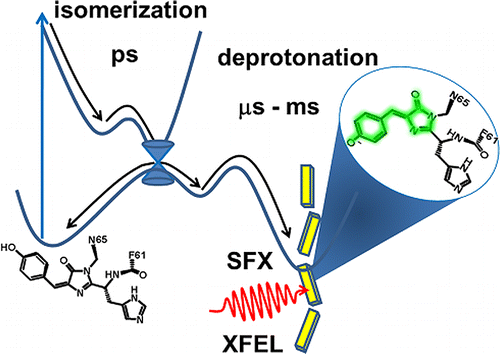 Serial Femtosecond Crystallography and Ultrafast Absorption ...
