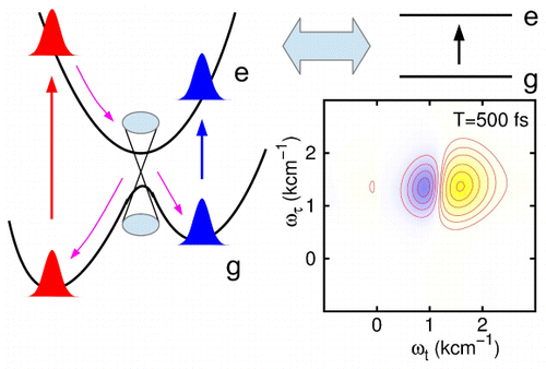 Quantum Mechanical Wave Packet Dynamics at a Conical Intersection with Strong Vibrational ...