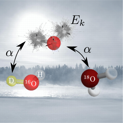 Nuclear Quantum Effects in Water at the Triple Point: Using Theory as a ...