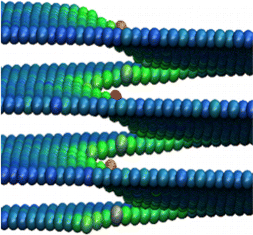 Structure, Energetics, and Dynamics of Screw Dislocations in Even n ...